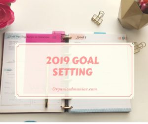 2019 Goal Setting – Organized Maniac